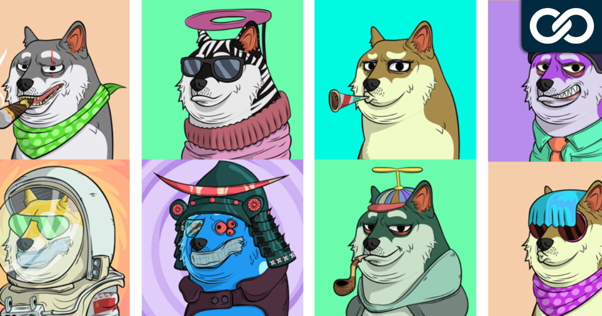 The Doge Pound – volledige uitleg over deze NFT-collectie | AllesOverCrypto